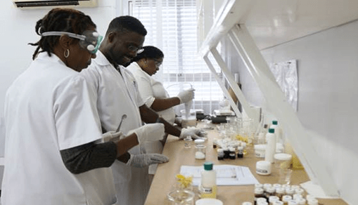 Our Services - MAKING SCIENCE, TECHNOLOGY & INNOVATION WORK FOR YOU